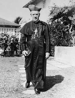 Cardinal Patrick Hayes (1867-1938) | Pat McNamara